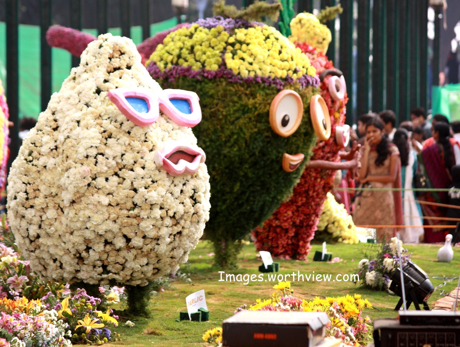 Lalbagh flower show 2014 in Bangalore - Images WorthvieW