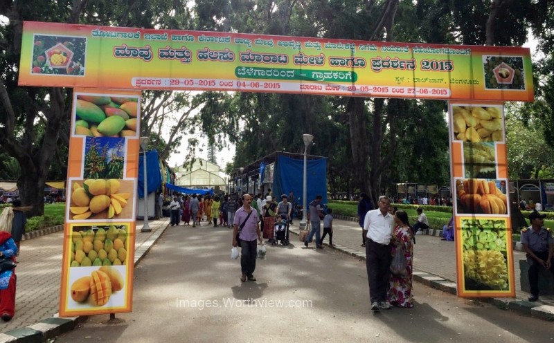 2015 Mango Mela | Jack Fruit Mela | Lalbagh | Bangalore - Images WorthvieW